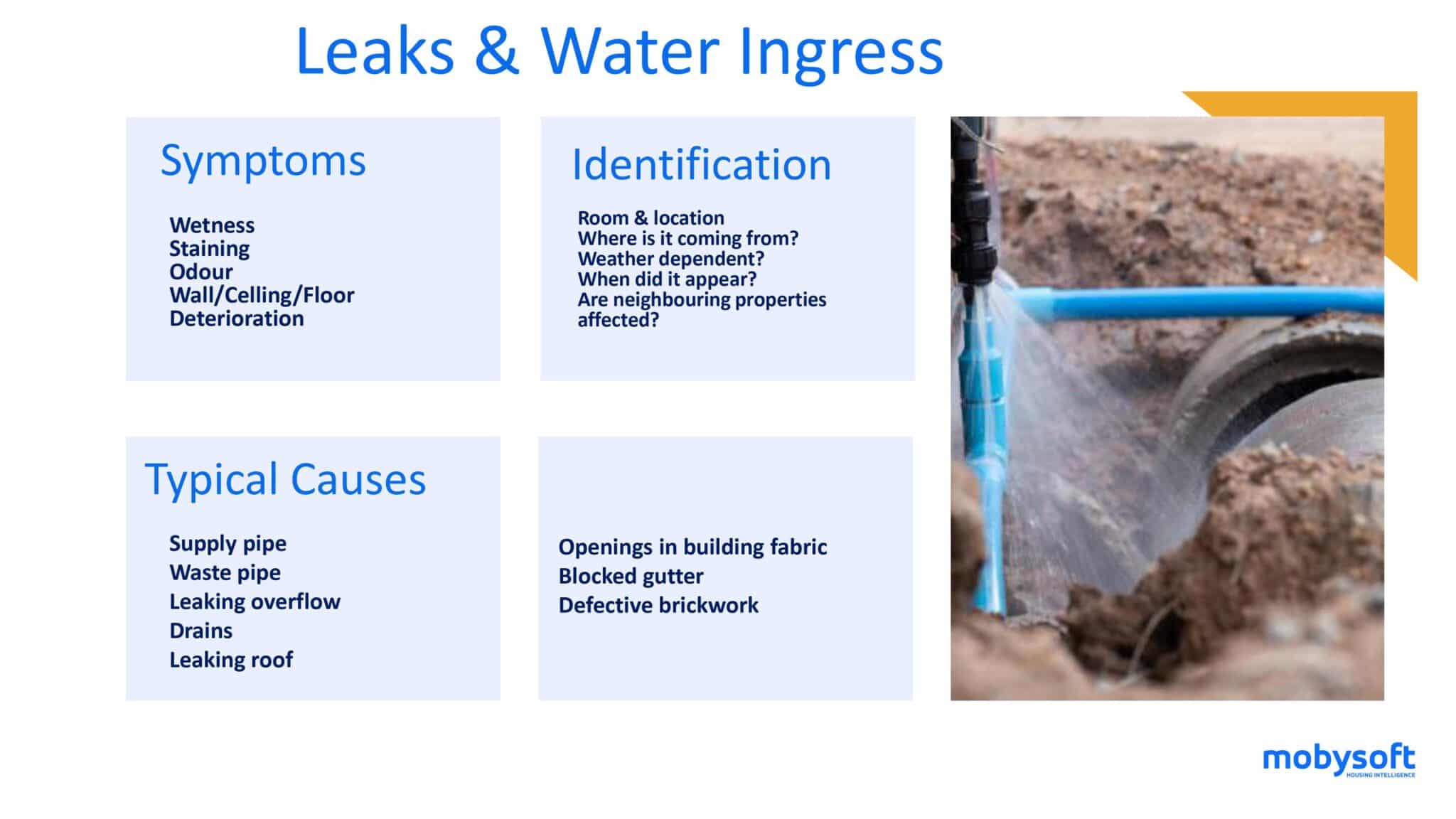 Damp & Mould: A Quick Guide - Mobysoft