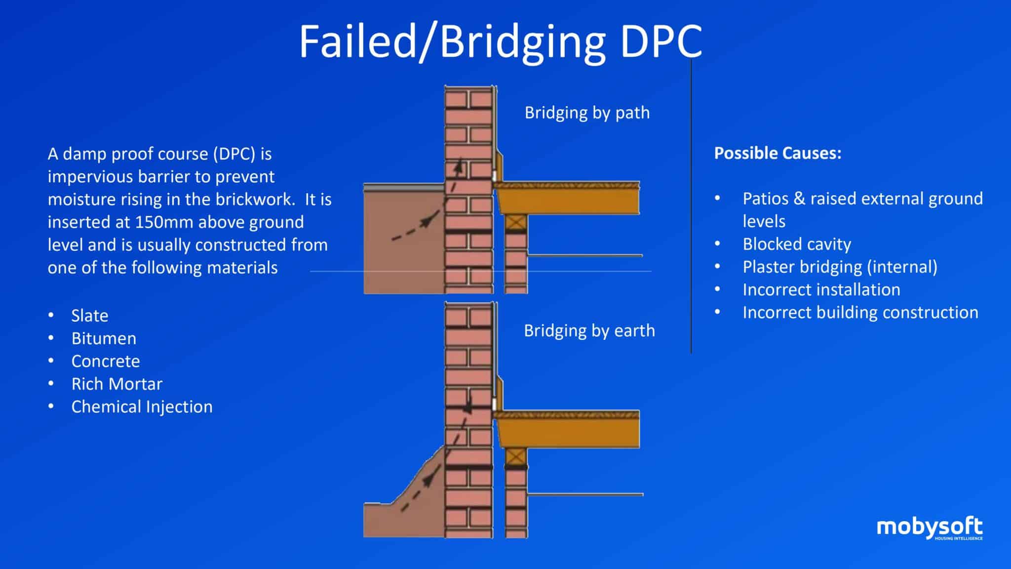 Damp & Mould: A Quick Guide - Mobysoft