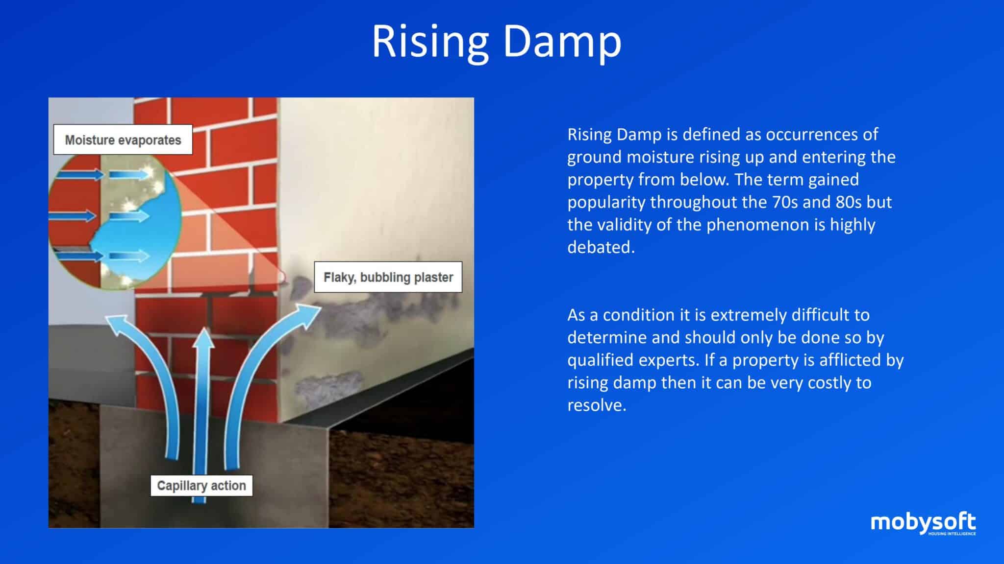 Damp & Mould: A Quick Guide - Mobysoft