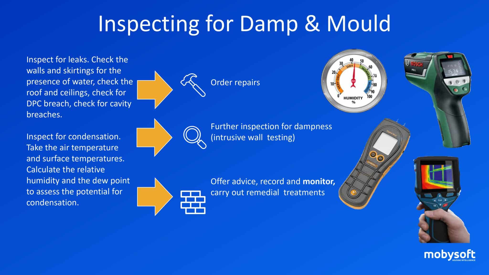 Damp & Mould: A Quick Guide - Mobysoft